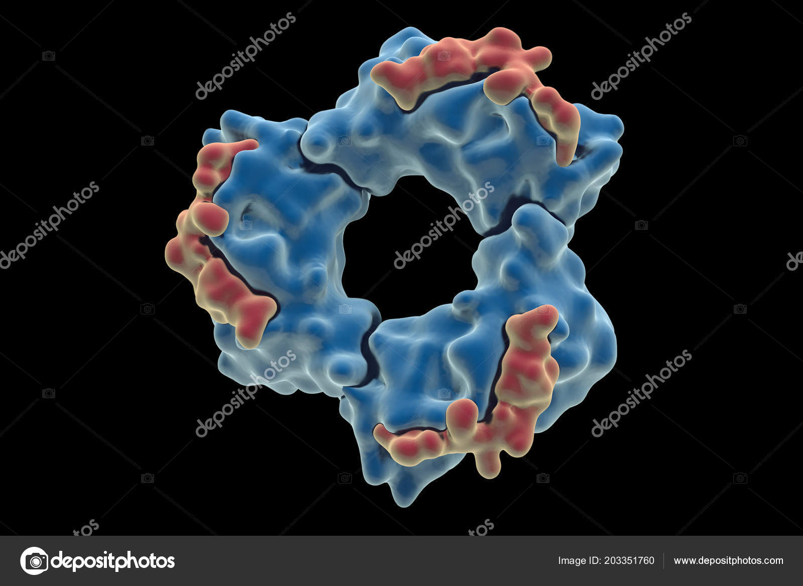 Human Dna Polymerase Structure