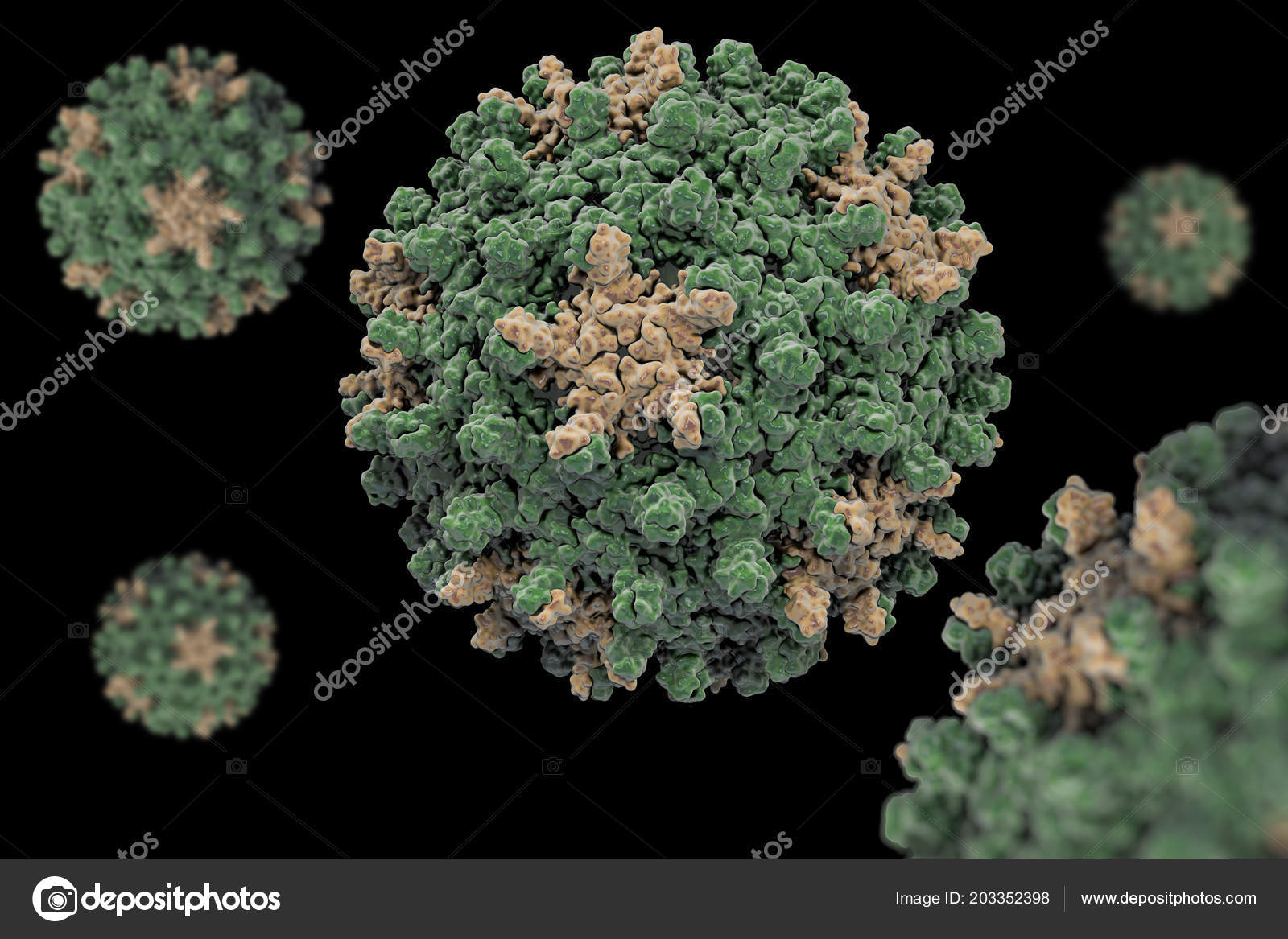 Hepatitis Virus Structure Hepatitis Virus Hbv Pdb 1Qgt Species Genus ...