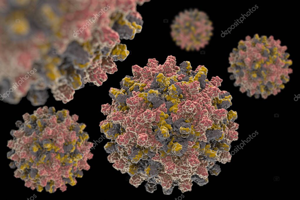 Virus de la hepatitis B. Estructura del virus de la hepatitis B (VHB ...