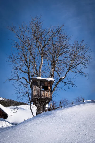 Fantasy landscape treehouse Stock Photos, Royalty Free Fantasy ...