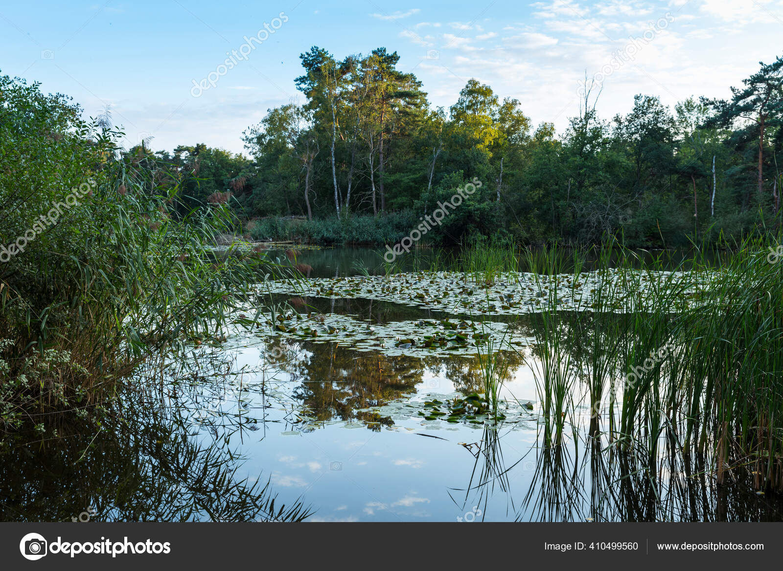 Natural reflection in the lake — Stock Photo © compuinfoto #410499560