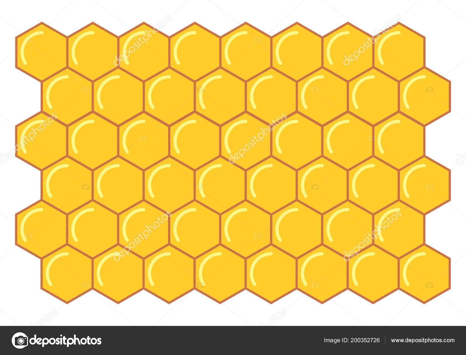 Panal De Abejas Dibujo Eps Vectores De Abeja Panal Vector | My XXX Hot Girl Panal De Abejas Dibujo Eps Vectores De Abeja Panal Vector | My XXX Hot Girl