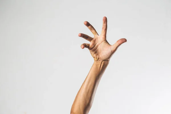 Hand rising up boy Stock Photos, Royalty Free Hand rising up boy Images ...