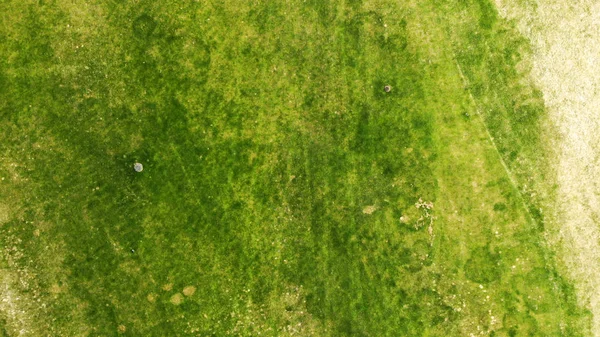 Aerial Green Grass Texture Background Top View Drone Stock Illustration ...