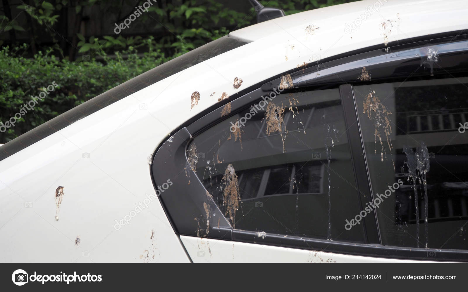 Bird Feces Car Bird Droppings Cars Stock Photo by ©santipong6519@gmail ...