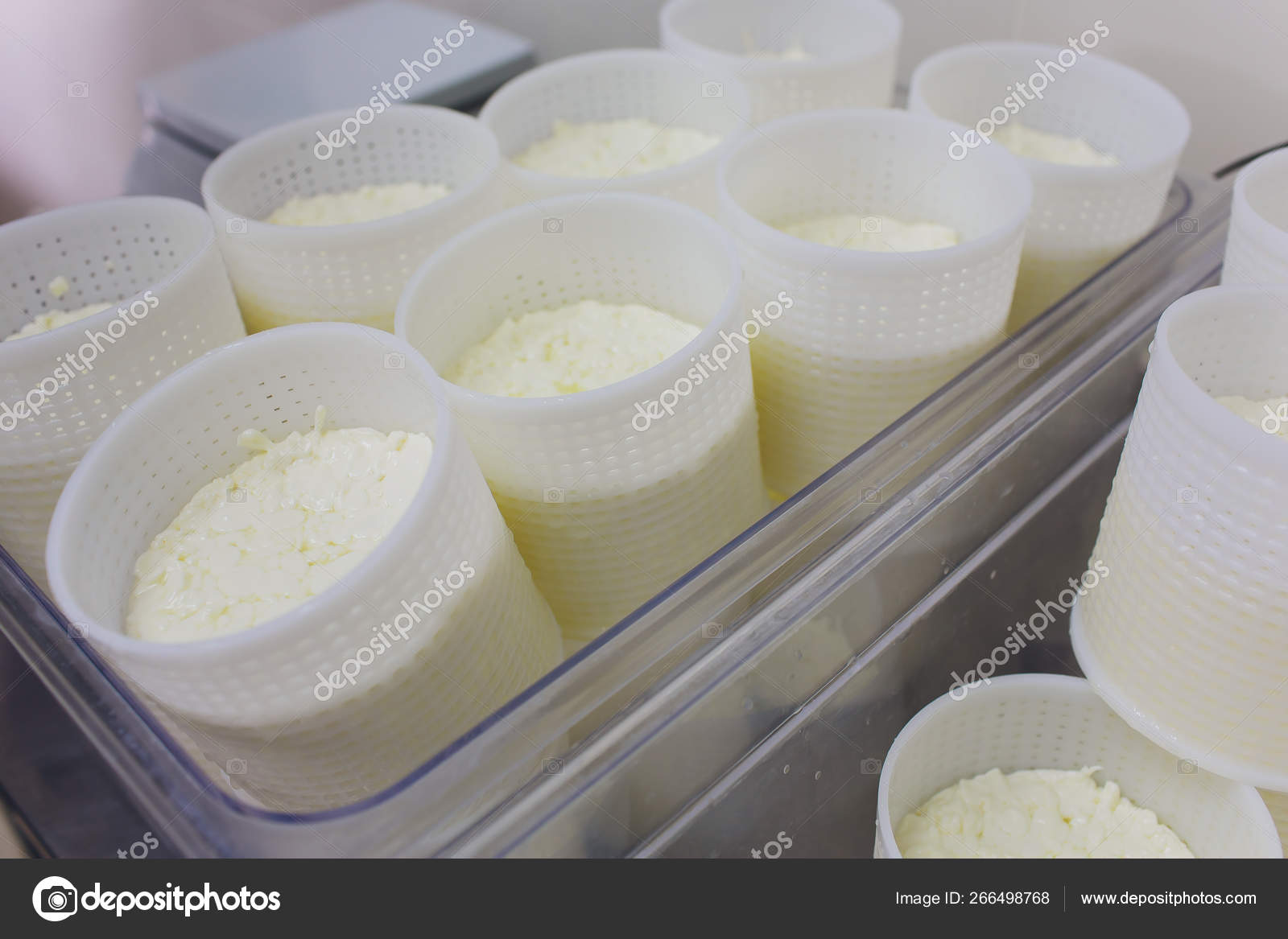 Traditional Cheese Making In A Small Company. Cheese Maker Hands Close ...