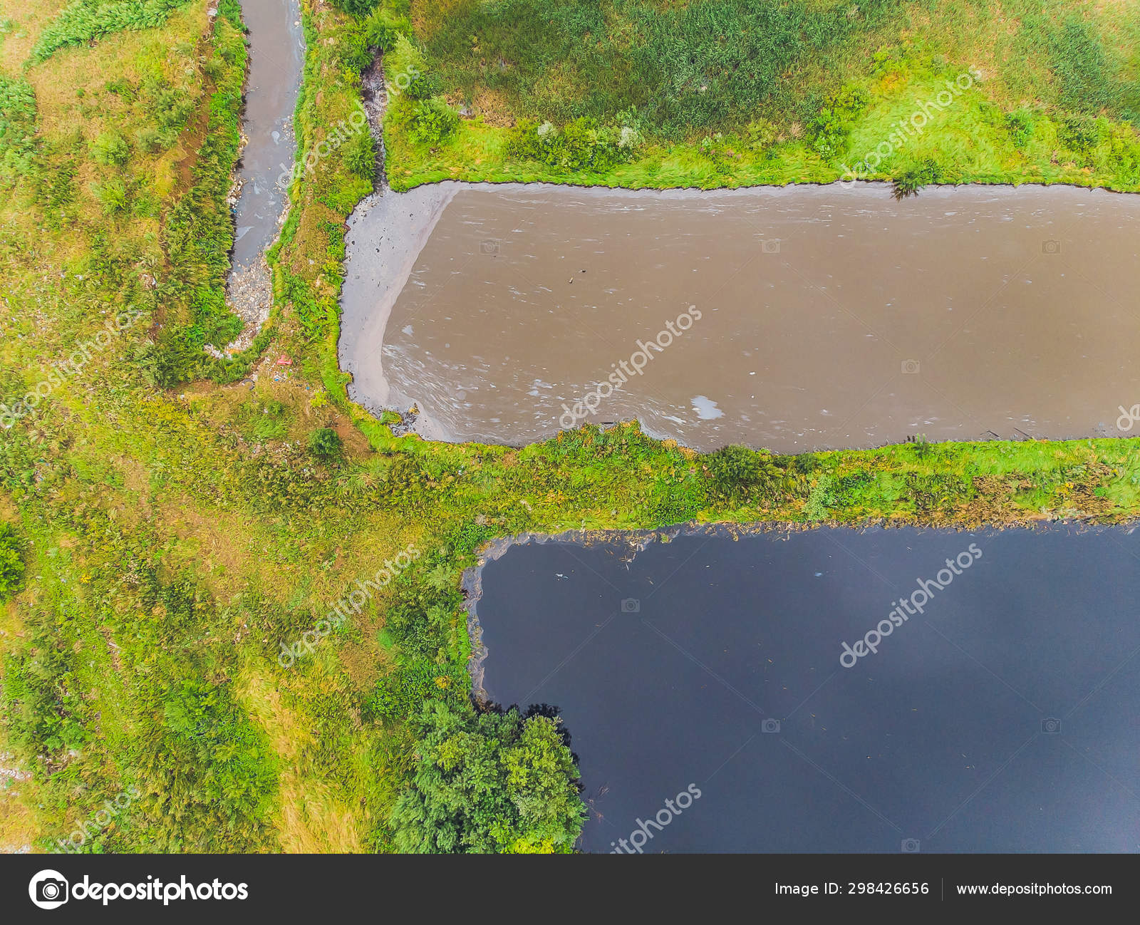Garbage and reflection of the leafless trees in water. Environmental ...