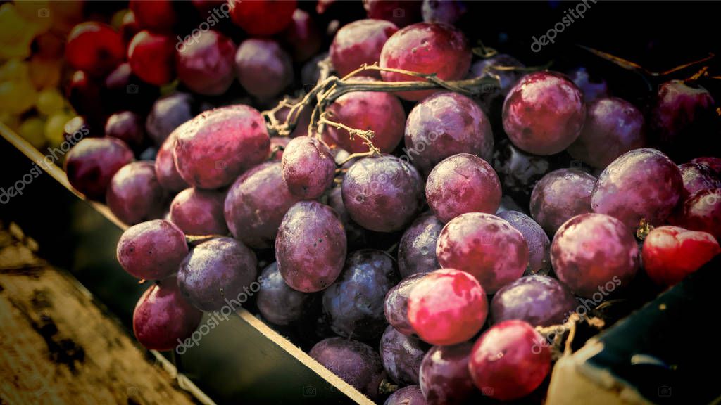racimo de uvas rojas al sol en un escaparate 2023