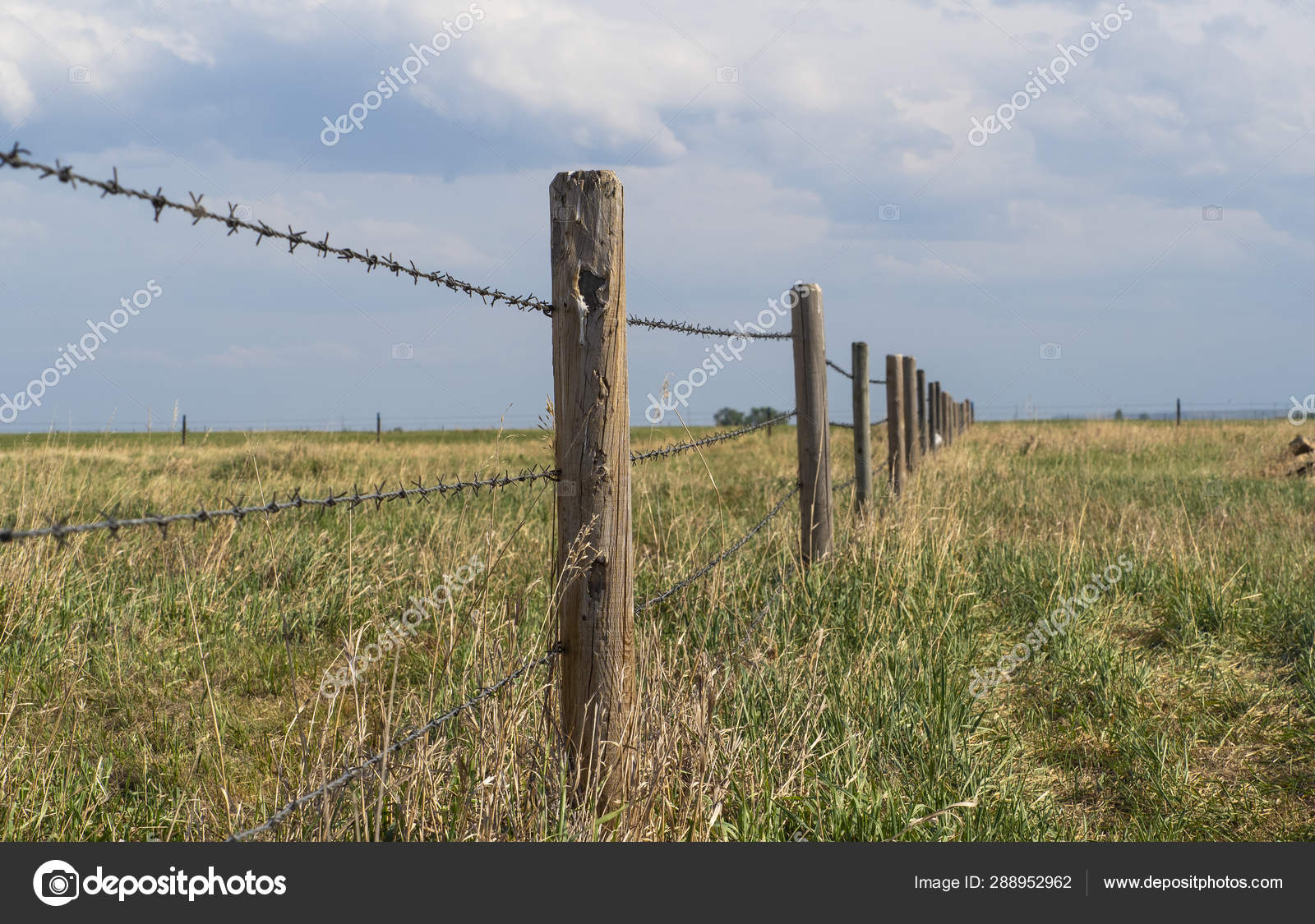 Barbed Wire Fence Farm