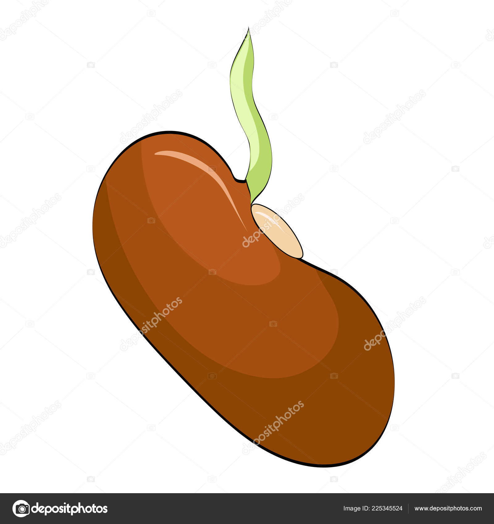 Cultivo Semillas Plantas Estilo Dibujos Animados Para Diseño ...