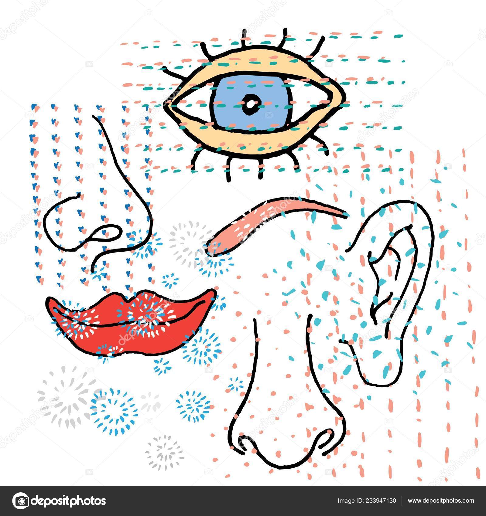 Set avec différentes parties d'un visage humain Vecteur par ©svetichch ...