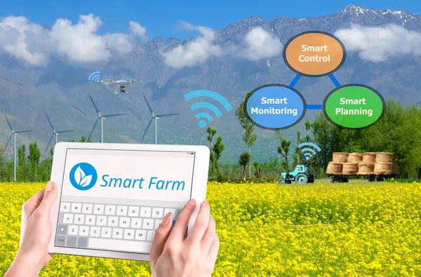 Internet of things(agriculture concept),smart farming,industrial ...
