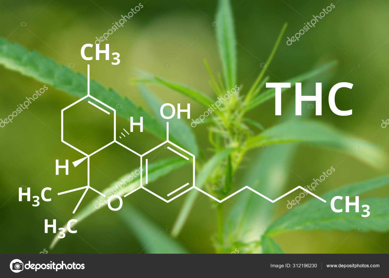 Thc Molecule Wallpaper