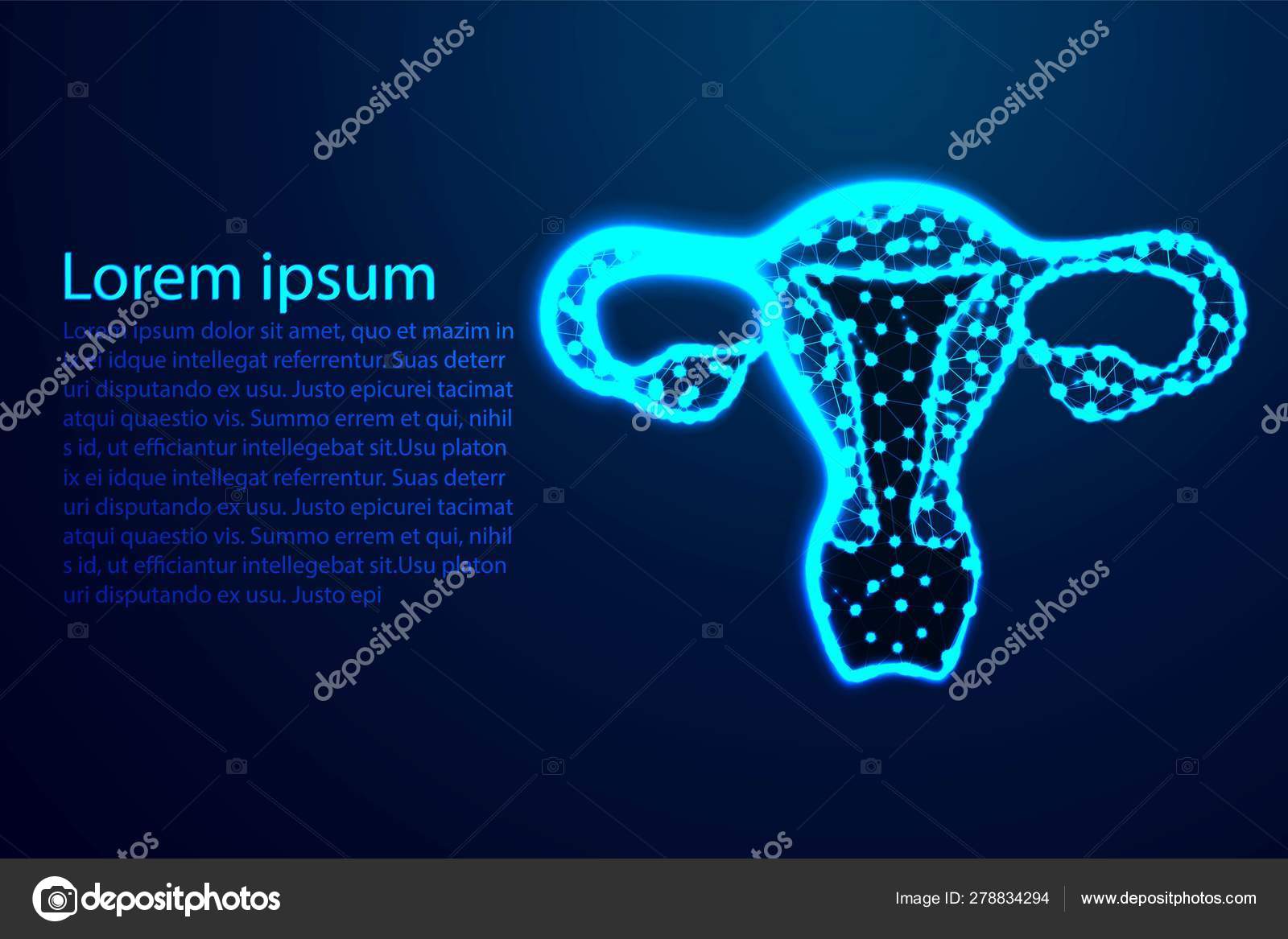 Female reproductive system. Human anatomy. Abstract Low Poly. Wireframe ...