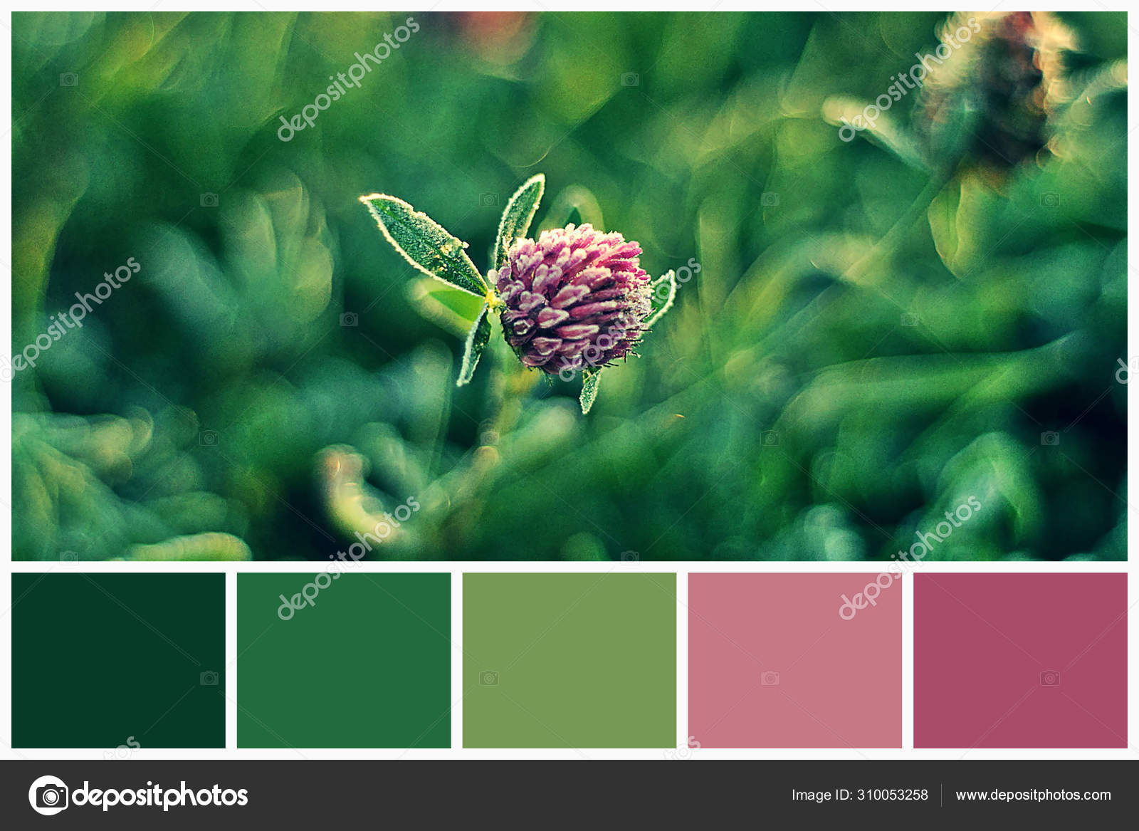 Swatch color palette clover plant matching autumn colors. Stock Photo ...