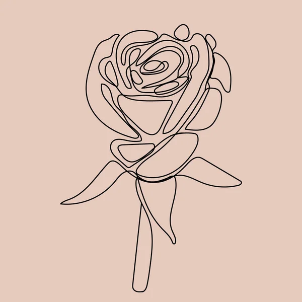 Grafika wektorowa Róża rysunek, Róża rysunek obrazy wektorowe ...