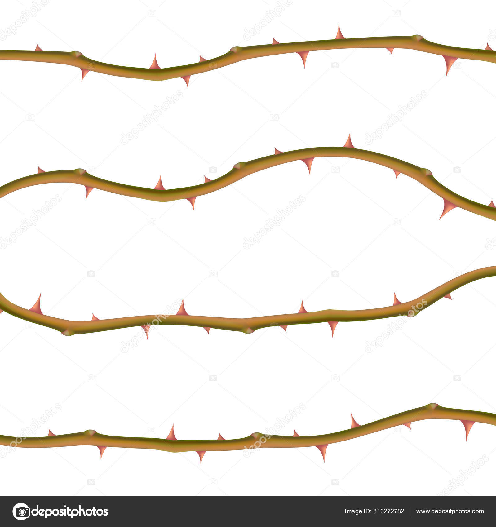 Set of Realistic thorns isolated on white background, Vector EPS 10 ...