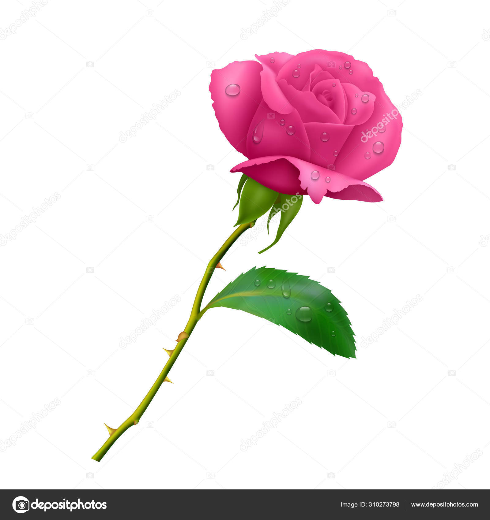 Single Stem Pink Rose