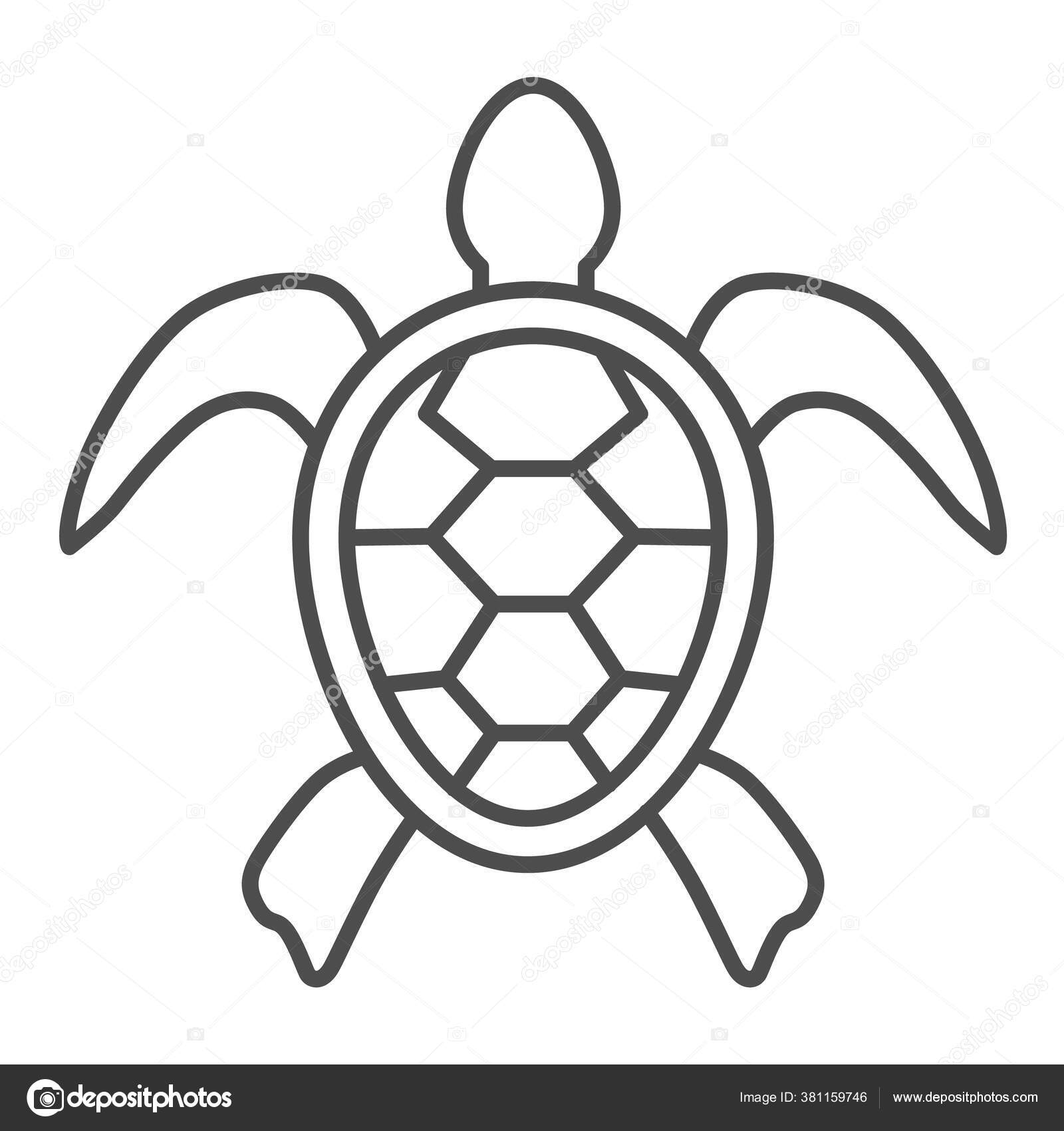 Plantilla De Silueta De Tortuga Marina Icono De Tortuga Marina Con La