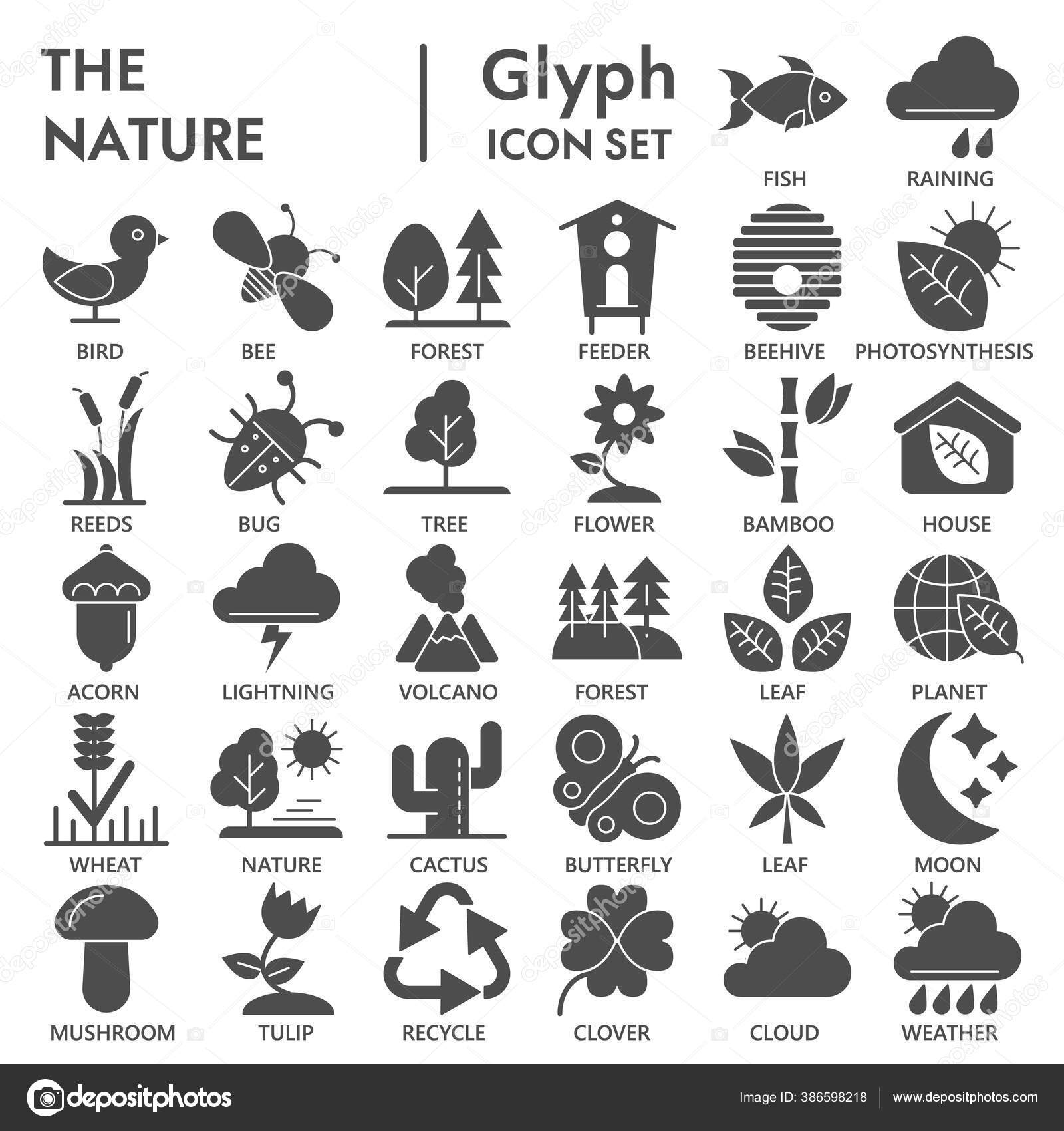 Glifo de la naturaleza conjunto de iconos SIGNED, colección de símbolos ...