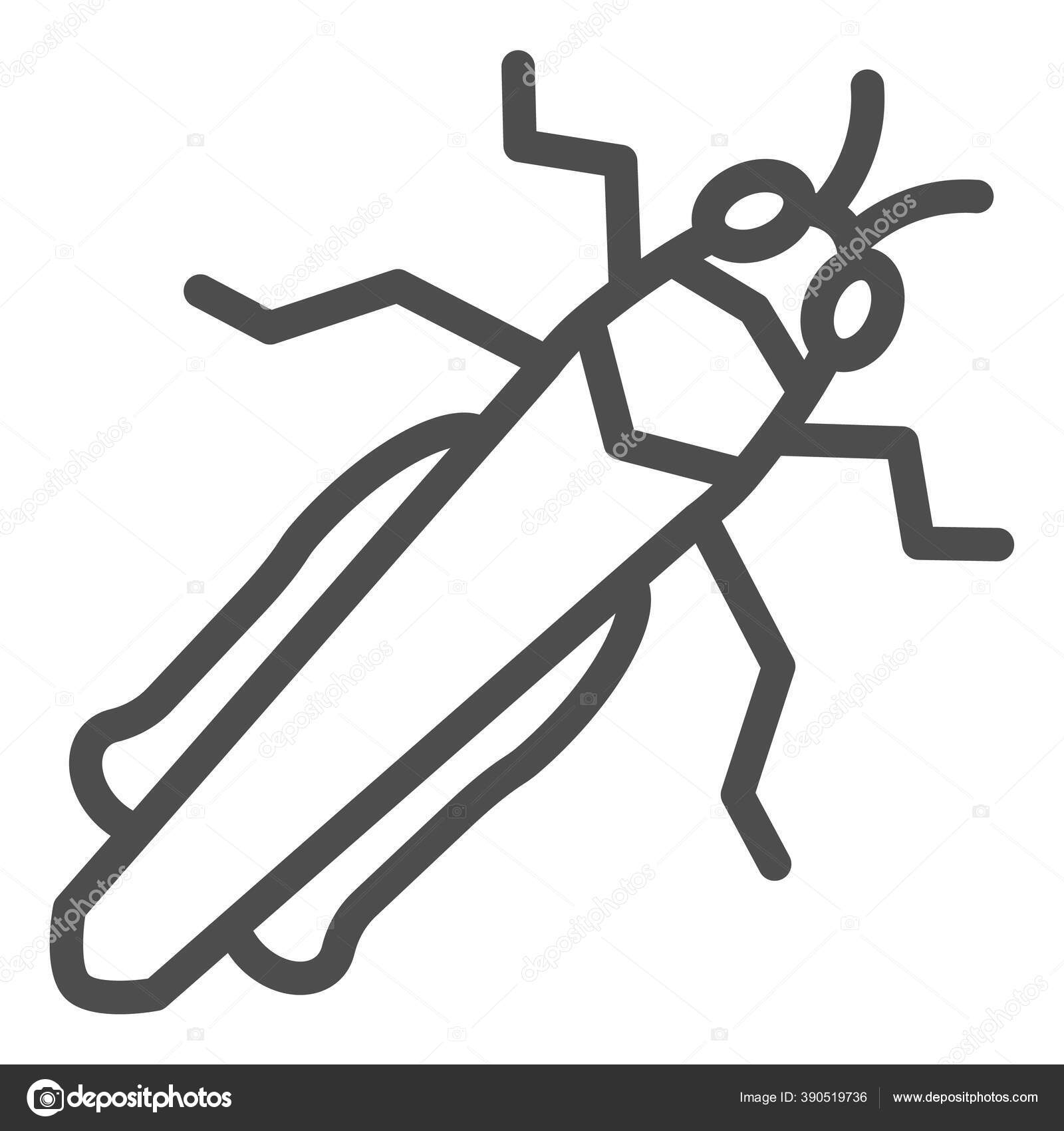 Grasshopper line icon, Insects concept, locust sign on white background ...