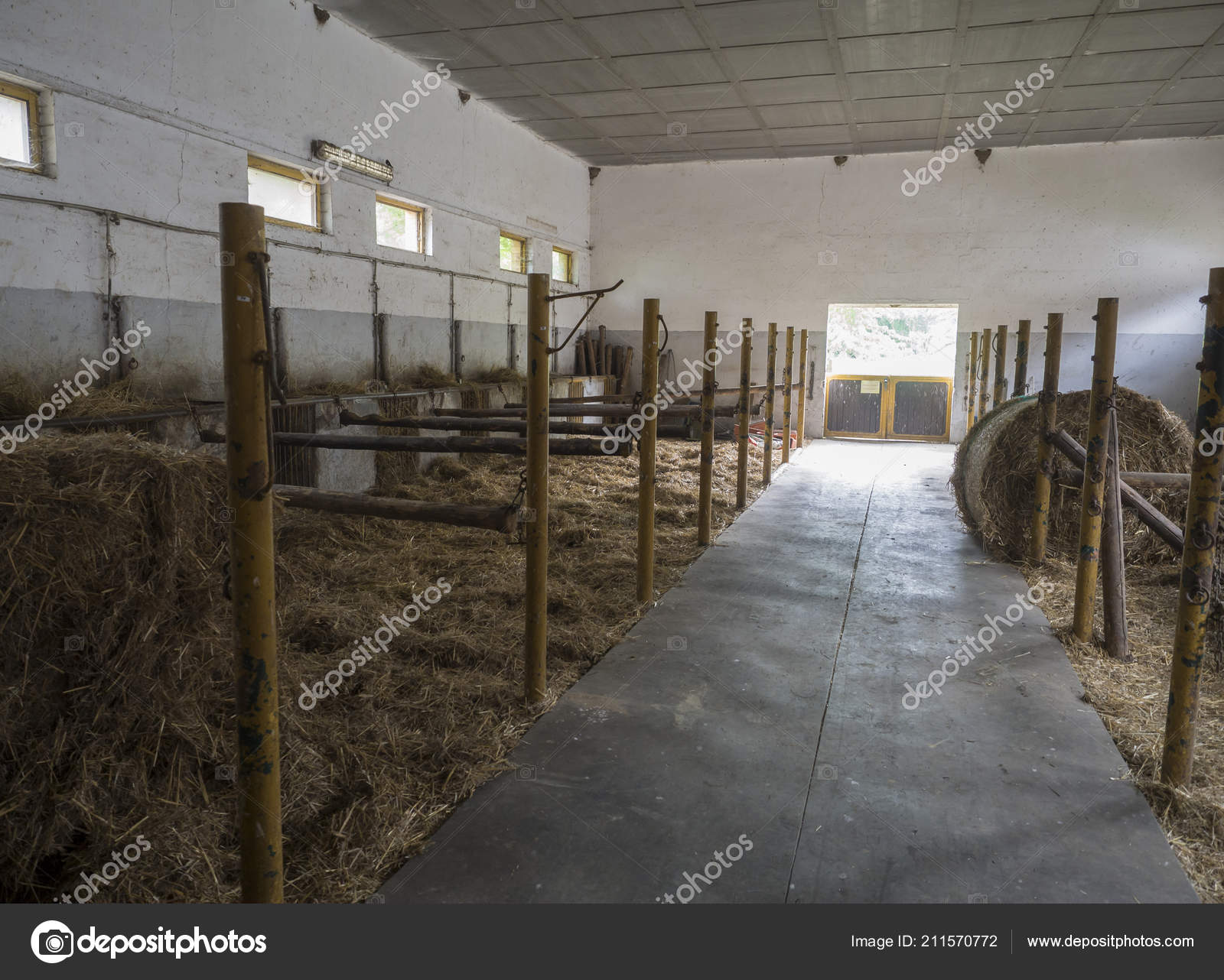 Old empty horse stable stall block in historical farm Benice Stock ...