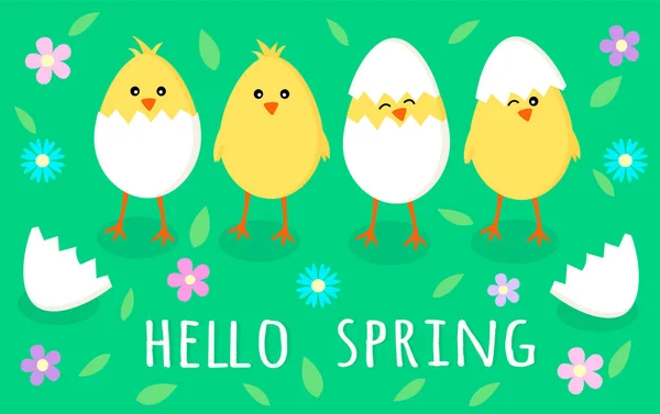 Baby chick Vector Art Stock Images | Depositphotos