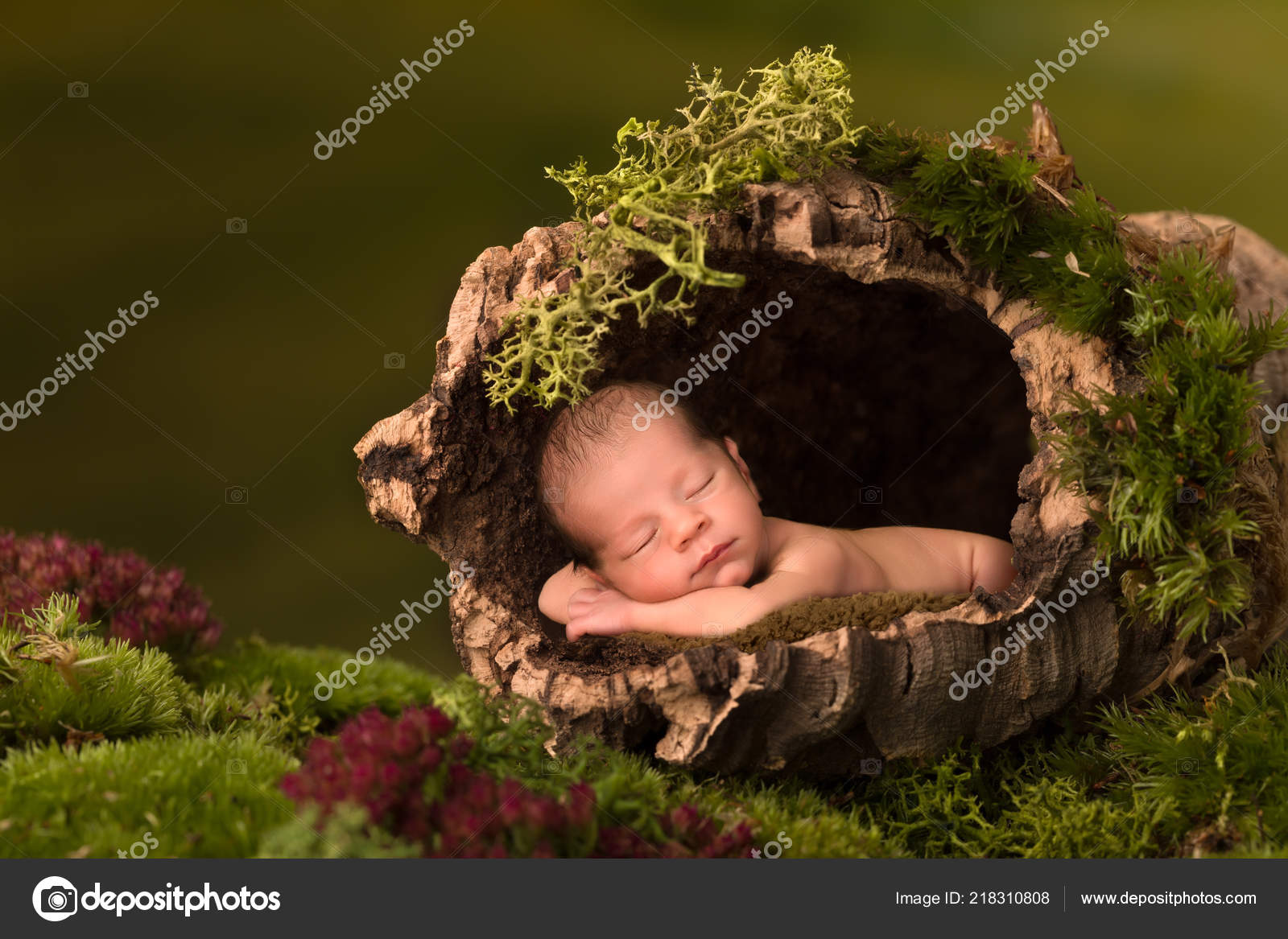 Newborn Baby Sleeping Cork Tree Trunk Stock Photo by ©Klanneke 218310808