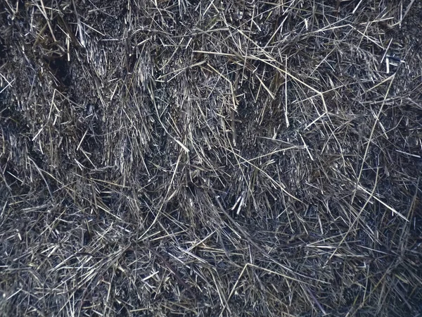 Hay texture Stock Photos, Royalty Free Hay texture Images | Depositphotos