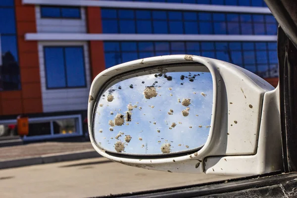 Dirty mirror Images - Search Images on Everypixel