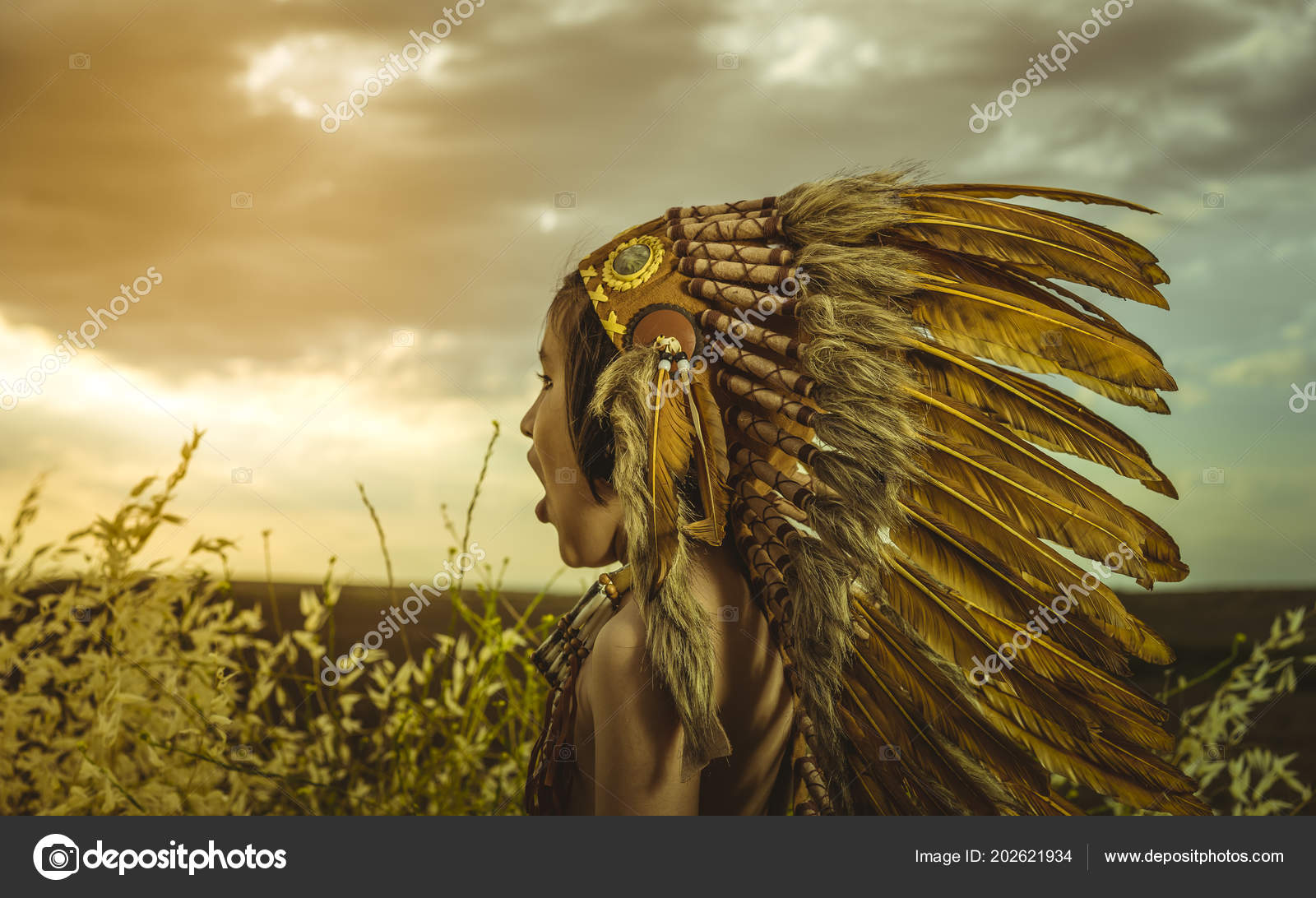 Niño Indio Americano Vestido Con Traje Tradicional Plumas Con Penacho ...