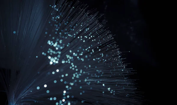 Fiber internet Images - Search Images on Everypixel