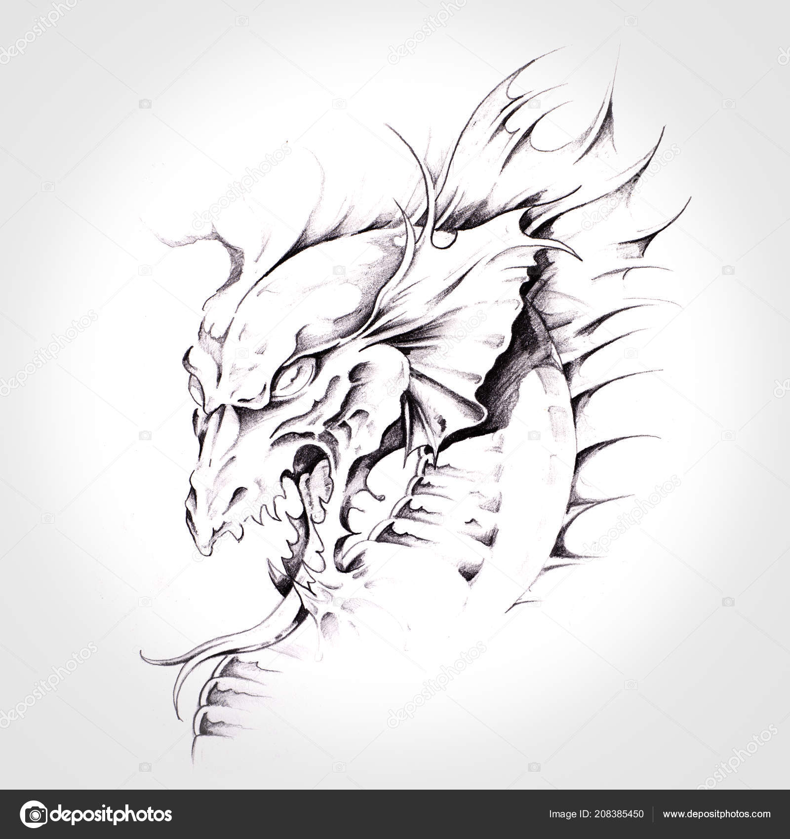 Realistic Dragon Head Drawing