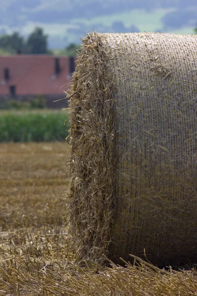 Straw rick Stock Photos, Royalty Free Straw rick Images | Depositphotos