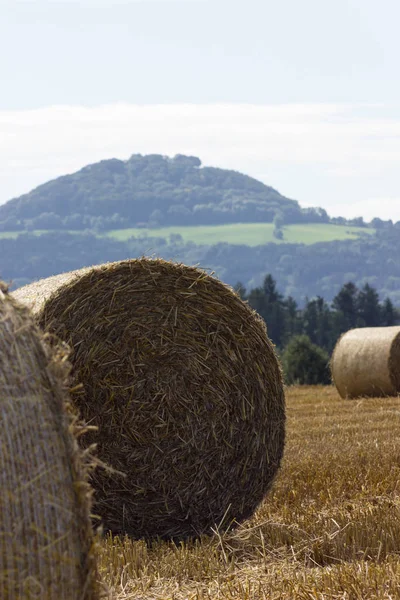 British farming Stock Photos, Royalty Free British farming Images ...