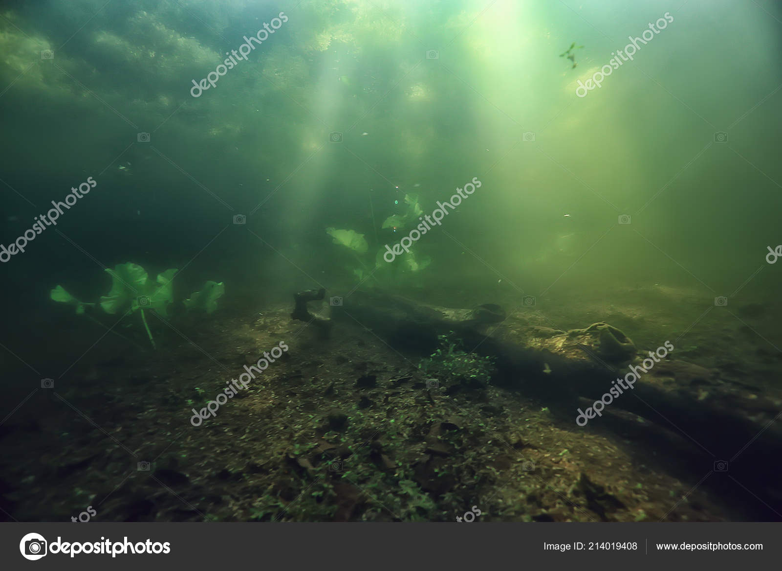 Underwater Lake In Ocean