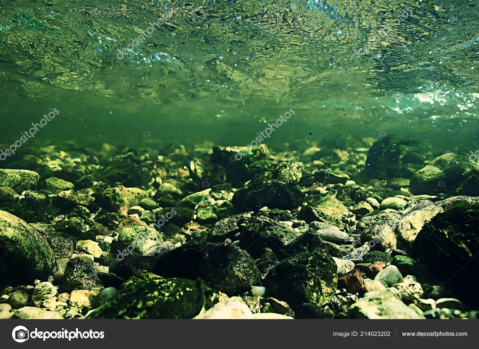 River Underwater Photography