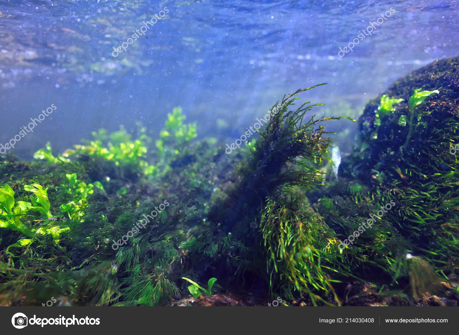 River Underwater Photography