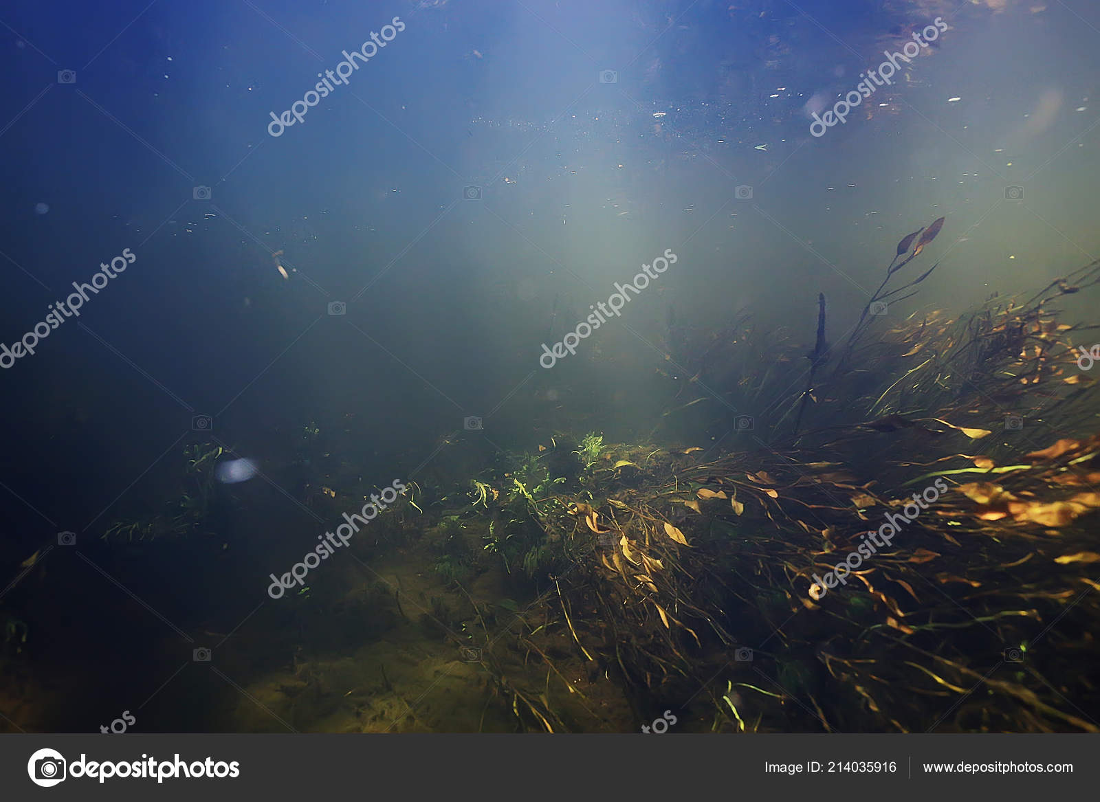 Sunbeams Underwater Photo Texture Underwater Landscape Sun Rays Blue ...