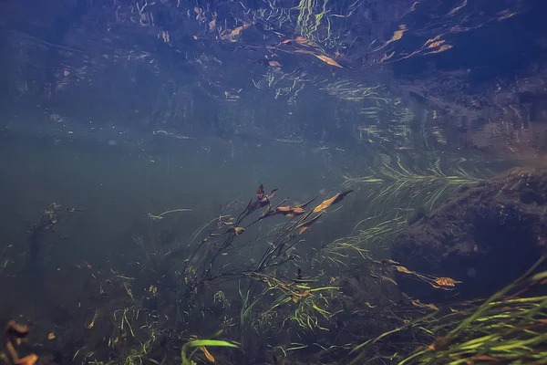 Muddy bottom Stock Photos, Royalty Free Muddy bottom Images | Depositphotos