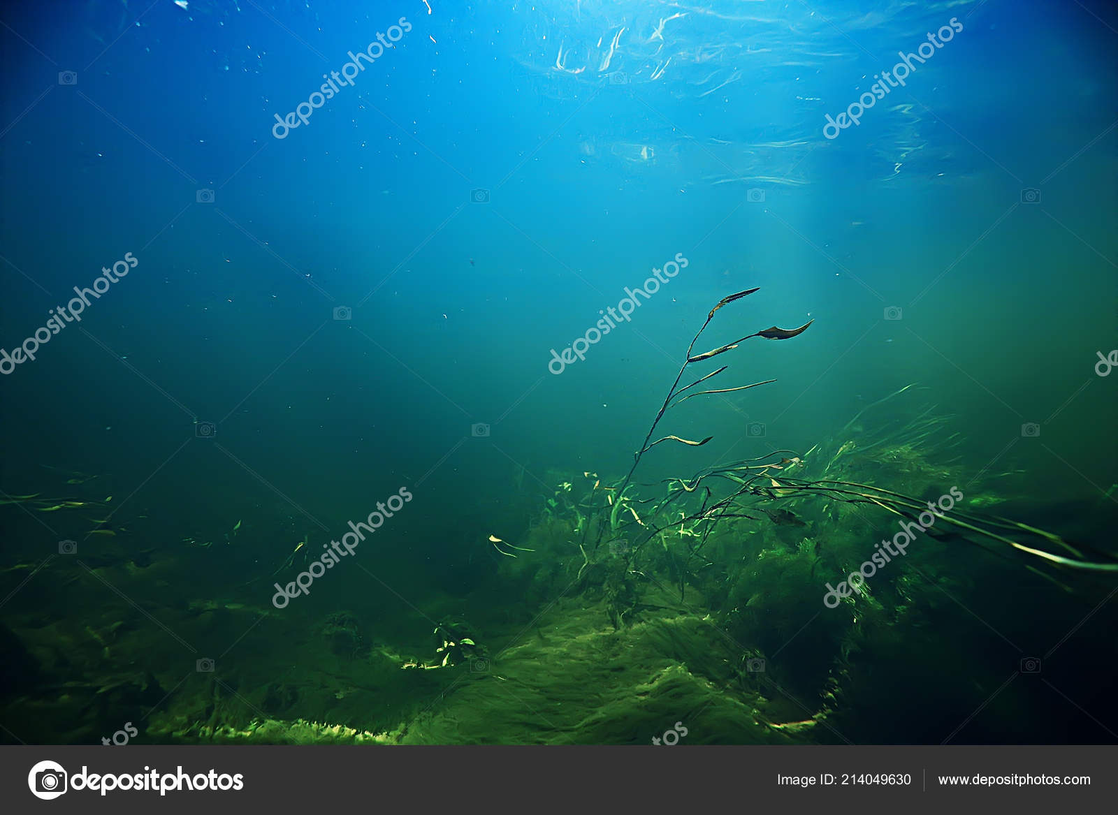 Underwater Lake In Ocean