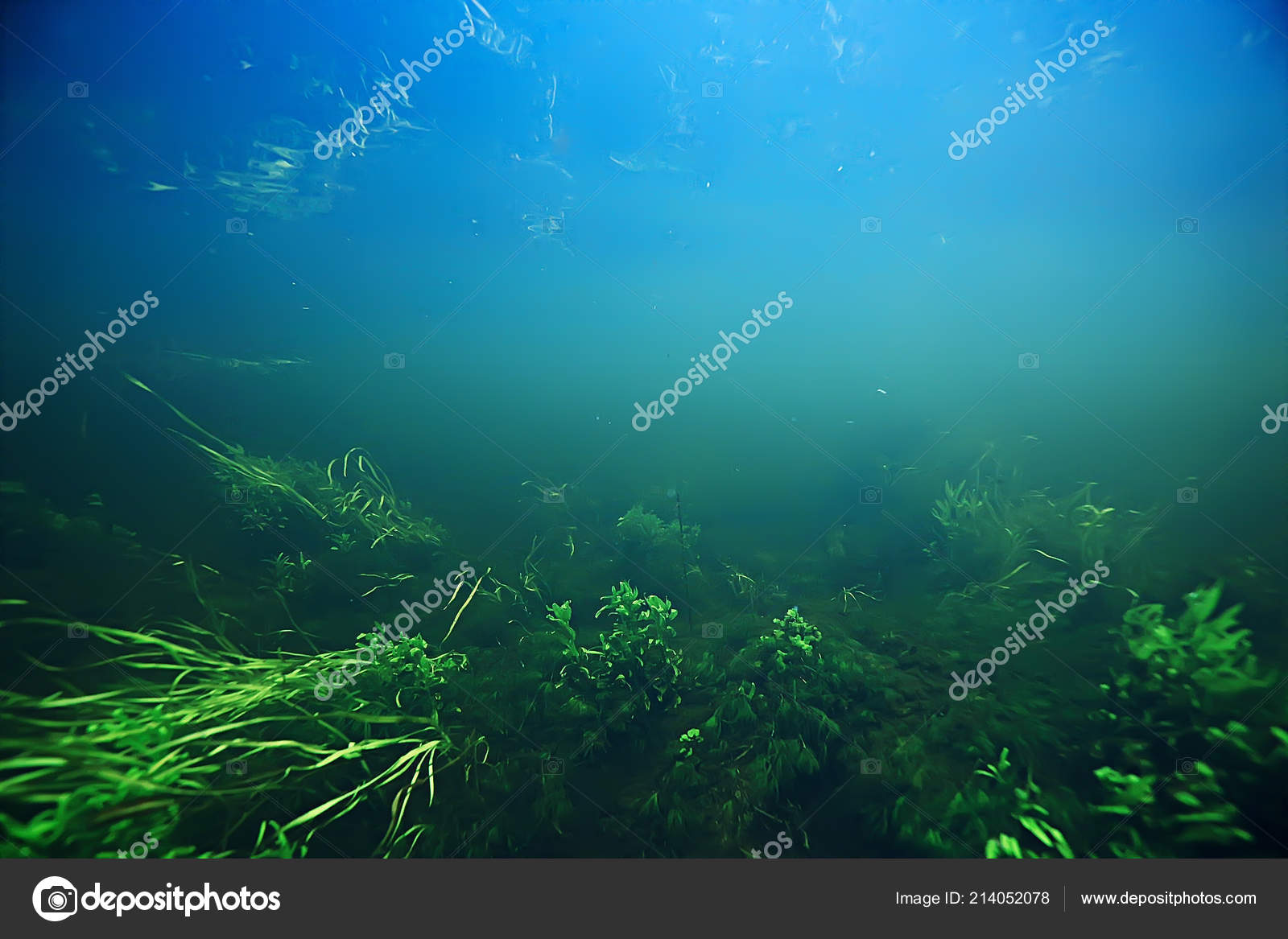 Underwater Textures