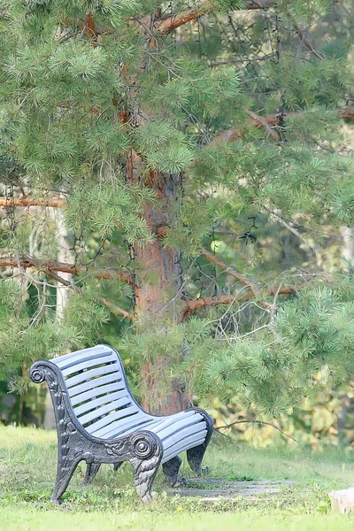 landscape in autumn park bench / beautiful garden bench, concept of ...