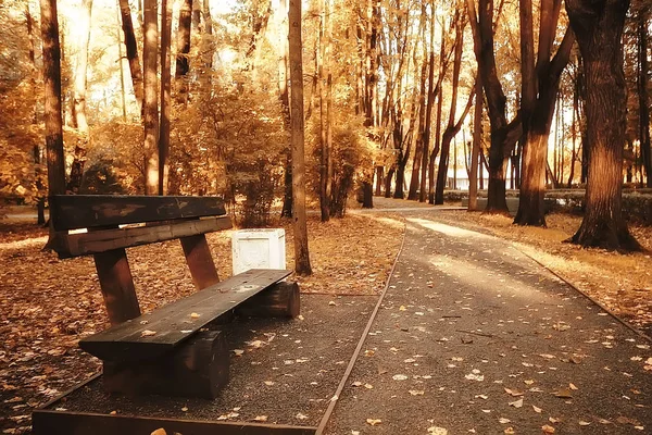 landscape in autumn park bench / beautiful garden bench, concept of ...