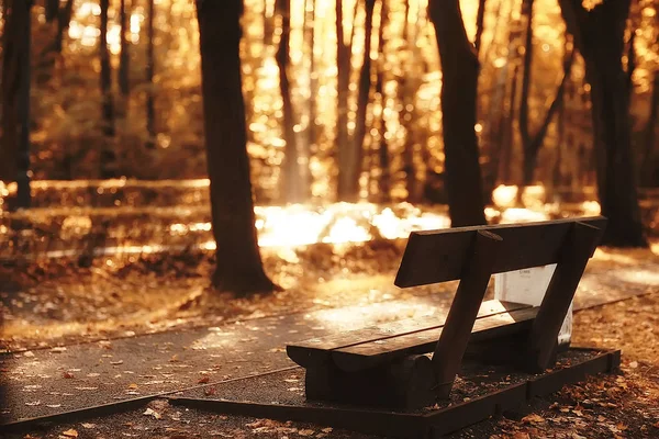 landscape in autumn park bench / beautiful garden bench, concept of ...