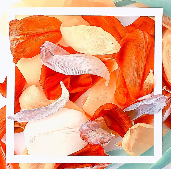 Yellow Petals Background Abstract Background Spring Flower Petals Frame ...