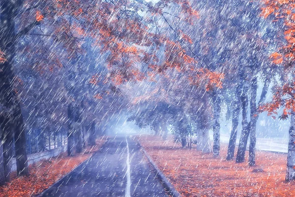 autumn rain in the park / autumn landscape weather in the rain, fall ...