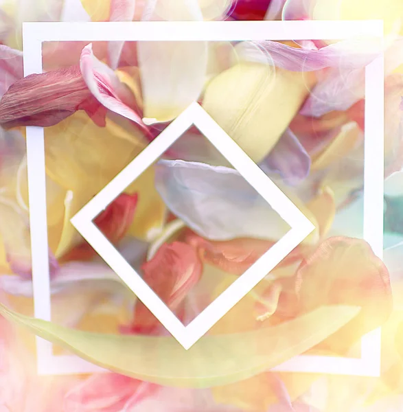 Yellow Petals Background Abstract Background Spring Flower Petals Frame ...