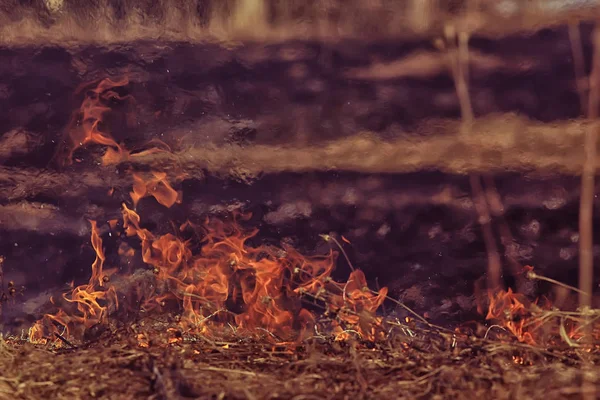 fire in the field / fire in the dry grass, burning straw, element ...