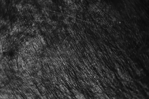 Black scratch background Images - Search Images on Everypixel